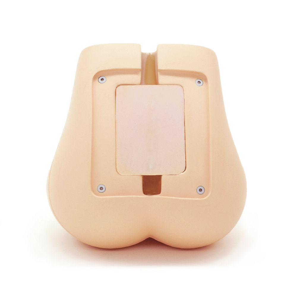 Lumbar Spine Fluoroscopy Training Phantom | Rothband